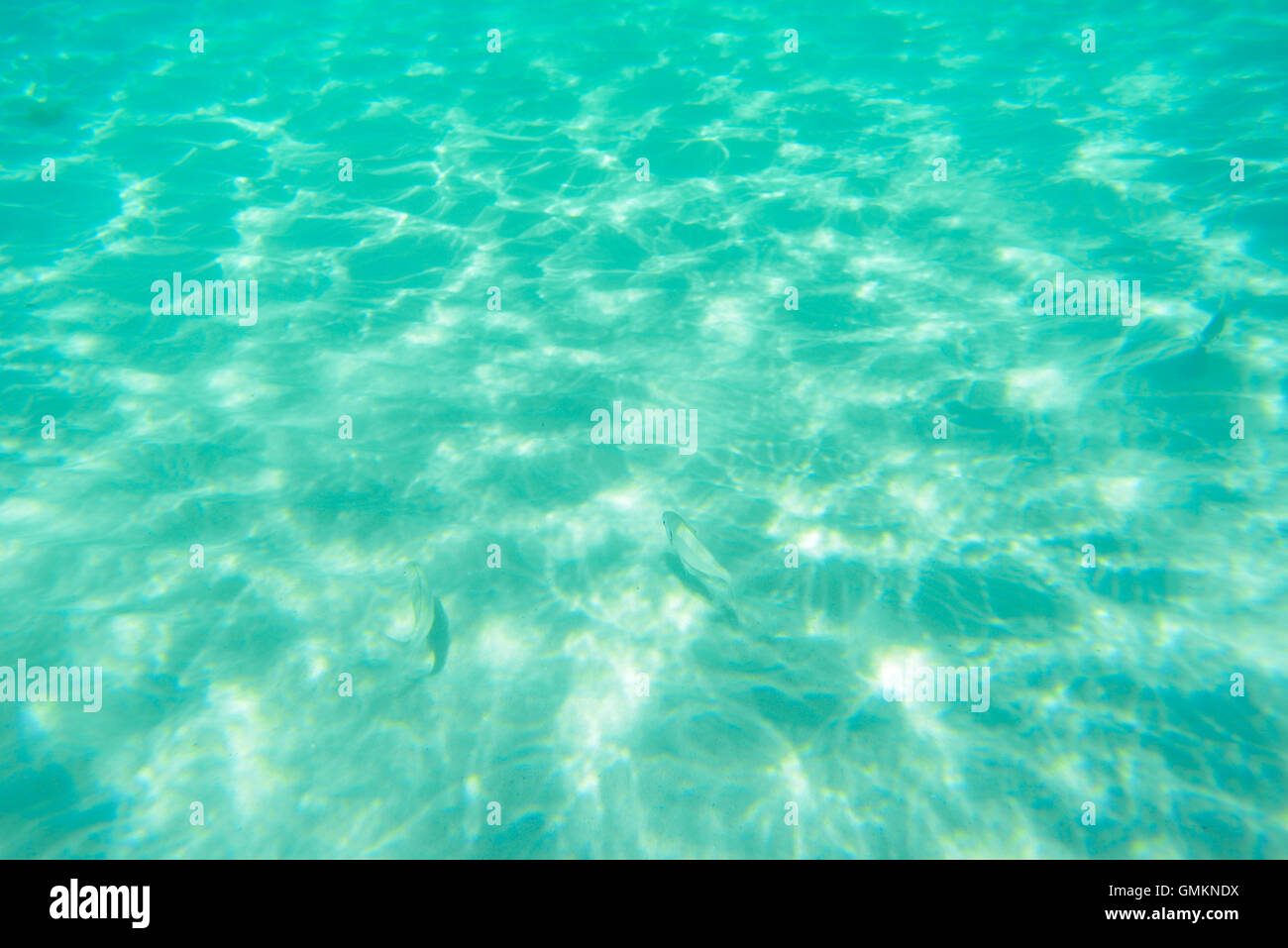 Water surface under water hi-res stock photography and images - Alamy