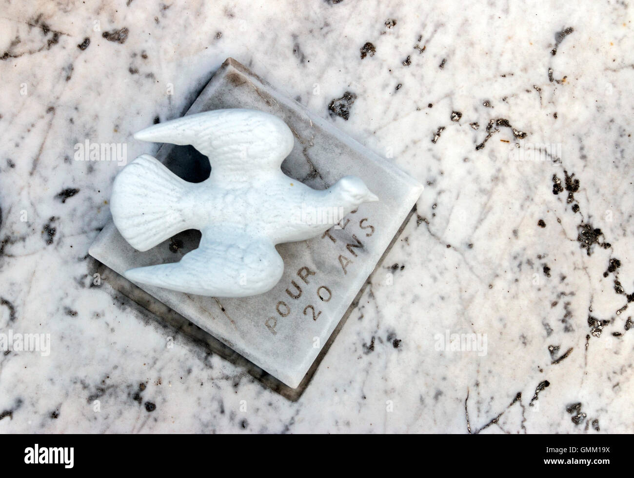 close up of dove carving on a French gravestone Stock Photo - Alamy