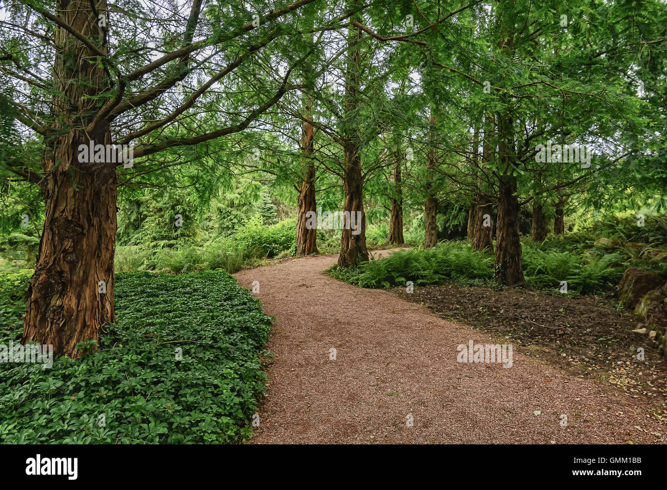 Beautiful winding path in hi-res stock photography and images - Alamy