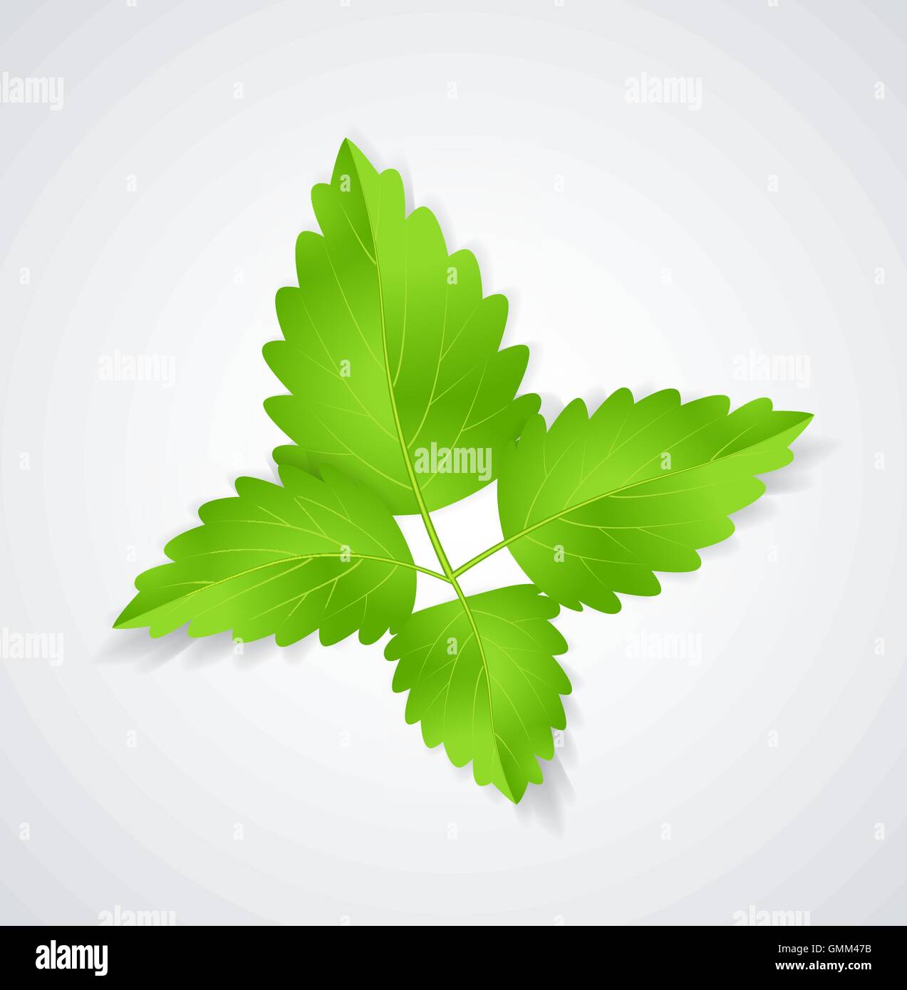 Cooking mint Stock Vector Images - Alamy