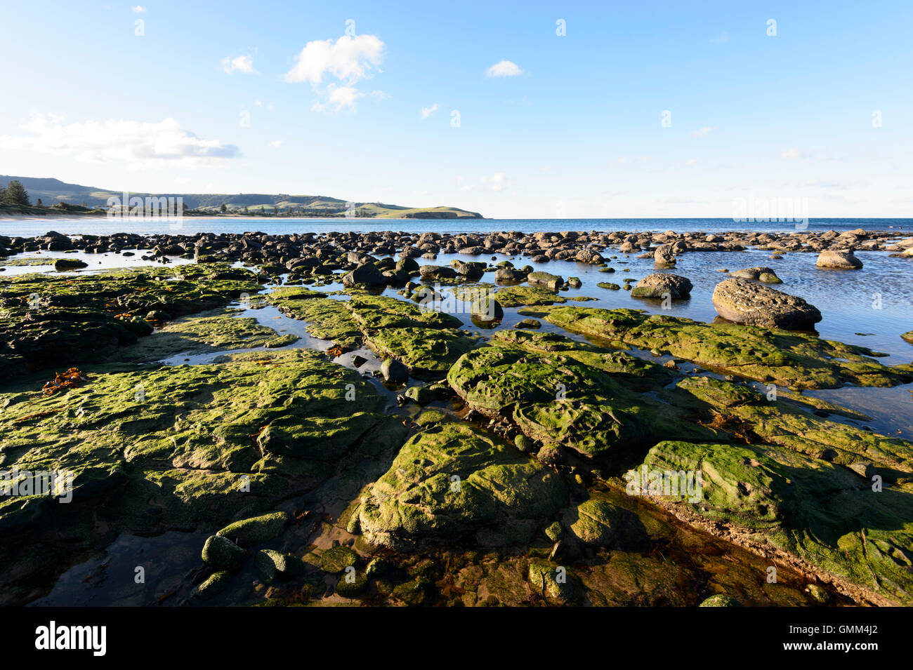 Blue green algae australia hi-res stock photography and images - Alamy