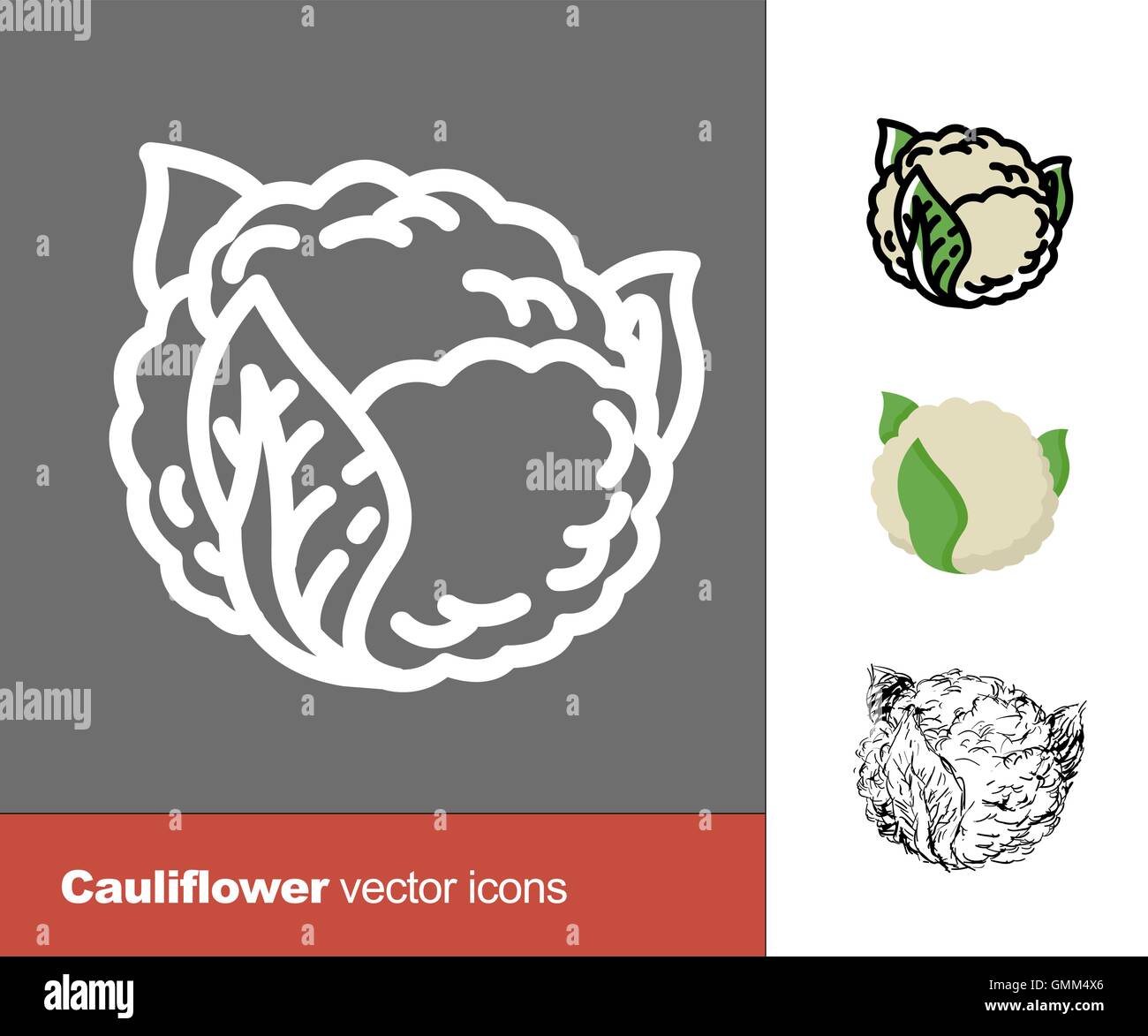 Cauliflower vector icons. Thin line, flat, and hand drawn styles Stock Vector Image & Art - Alamy