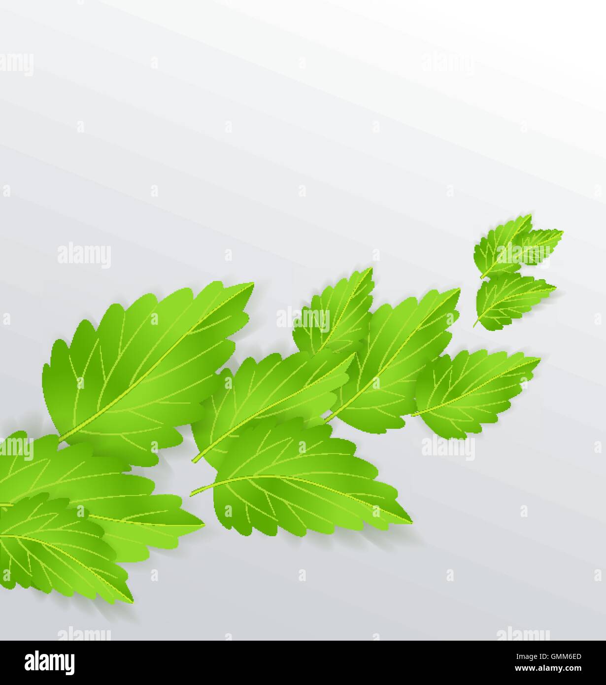 Light mint Stock Vector Images - Alamy