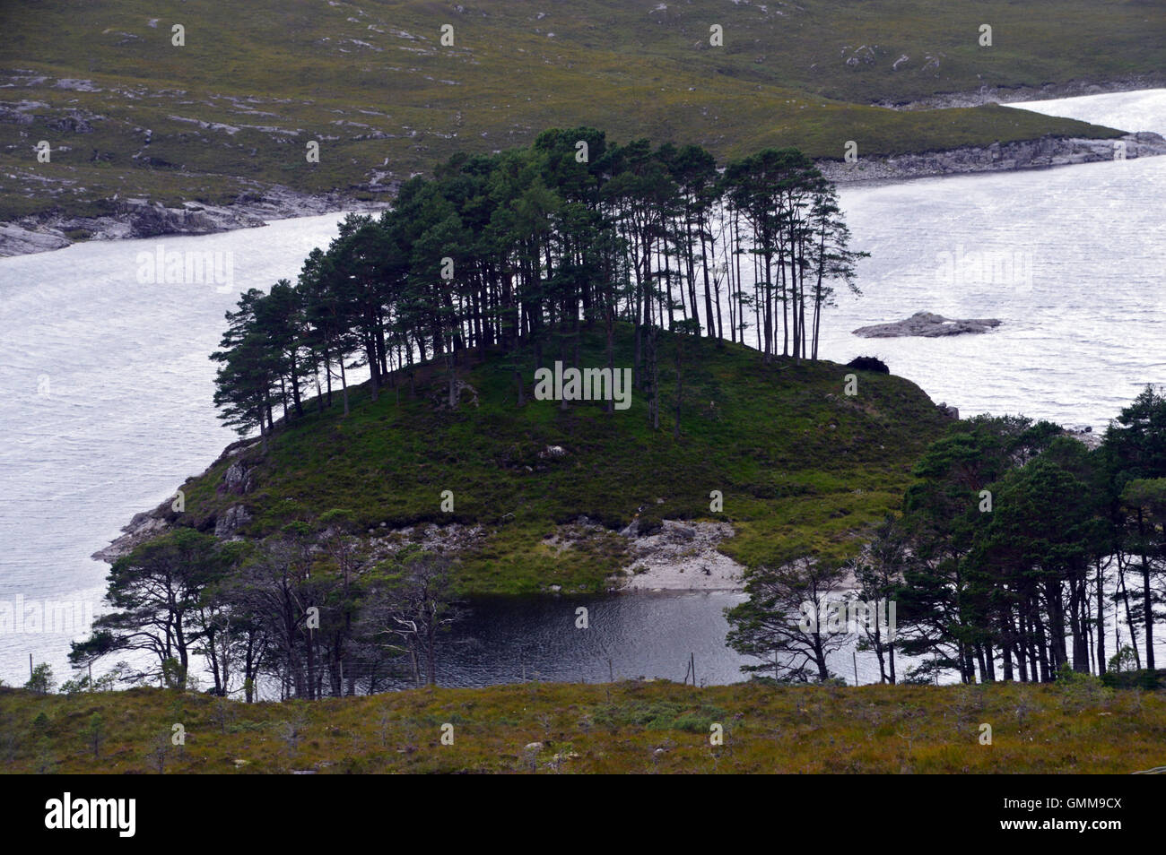 Island with Trees on Loch Monar in Remote Glen Strathfarrar, Scottish ...