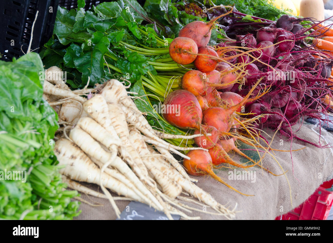 New zealand farmer market hi-res stock photography and images - Alamy