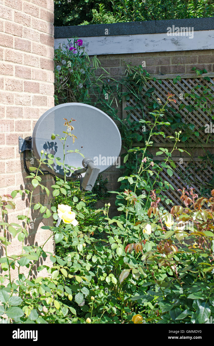 Back dish hi-res stock photography and images - Alamy