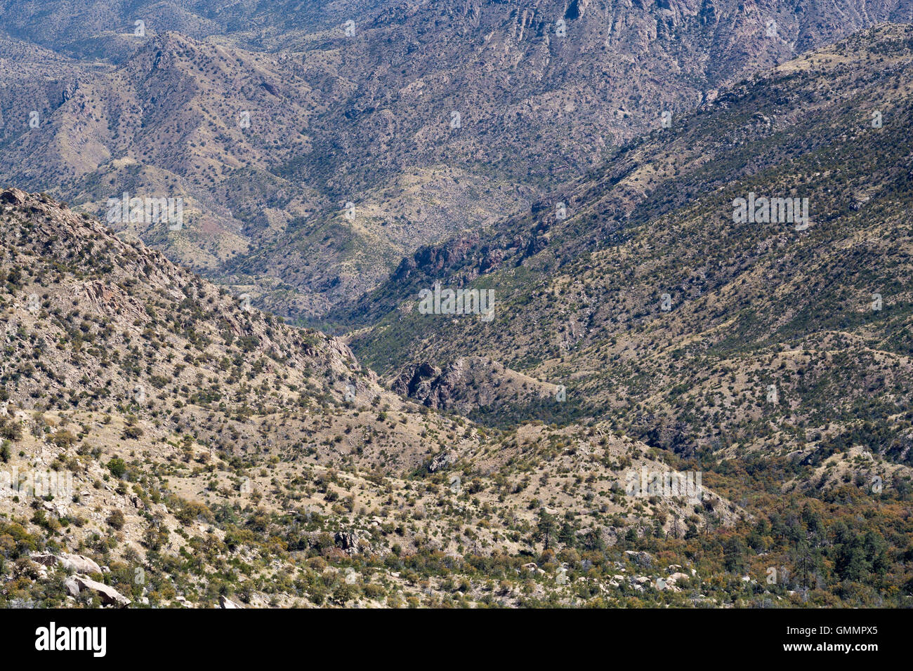 The West Fork of Sabino Canyon stretching out into the Santa Catalina ...