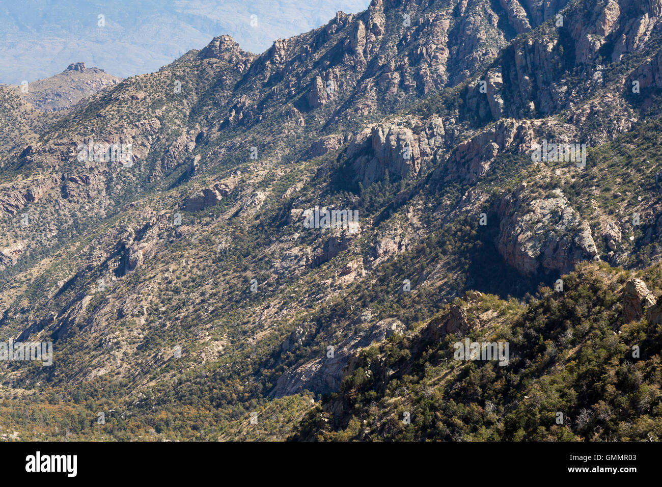 Sonoran Desert grasslands in the West Fork of Sabino Canyon in the ...