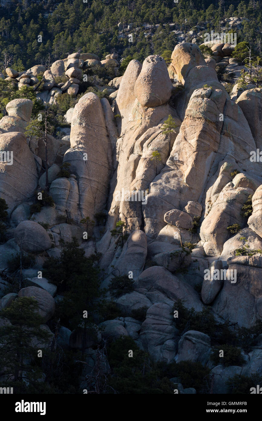 Large granite outcroppings breaking up a ponderosa pine forest in the ...