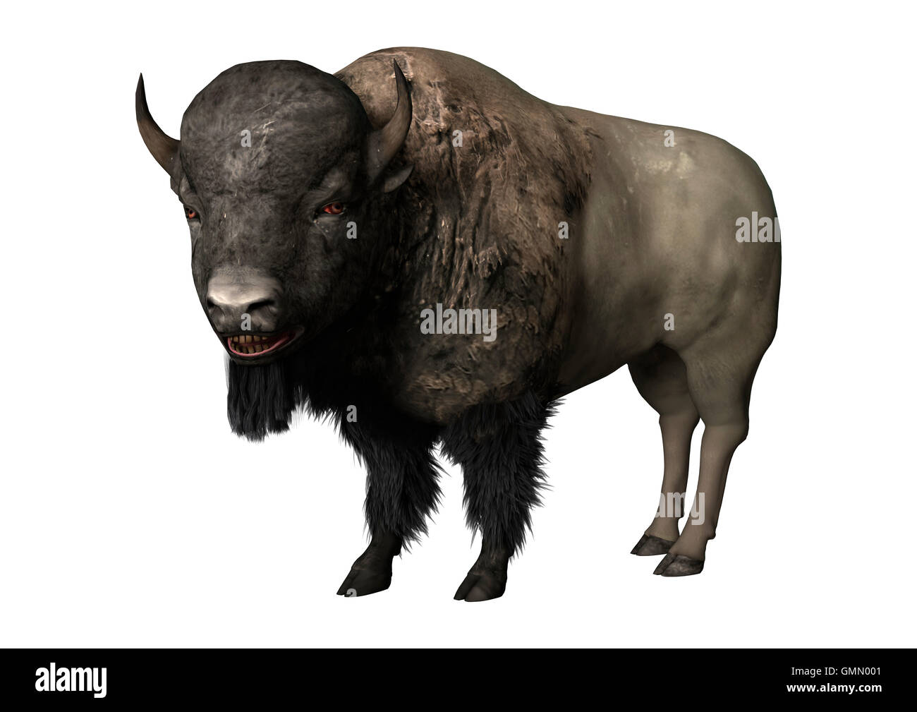 3D rendering of a bison isolated on white background Stock Photo - Alamy