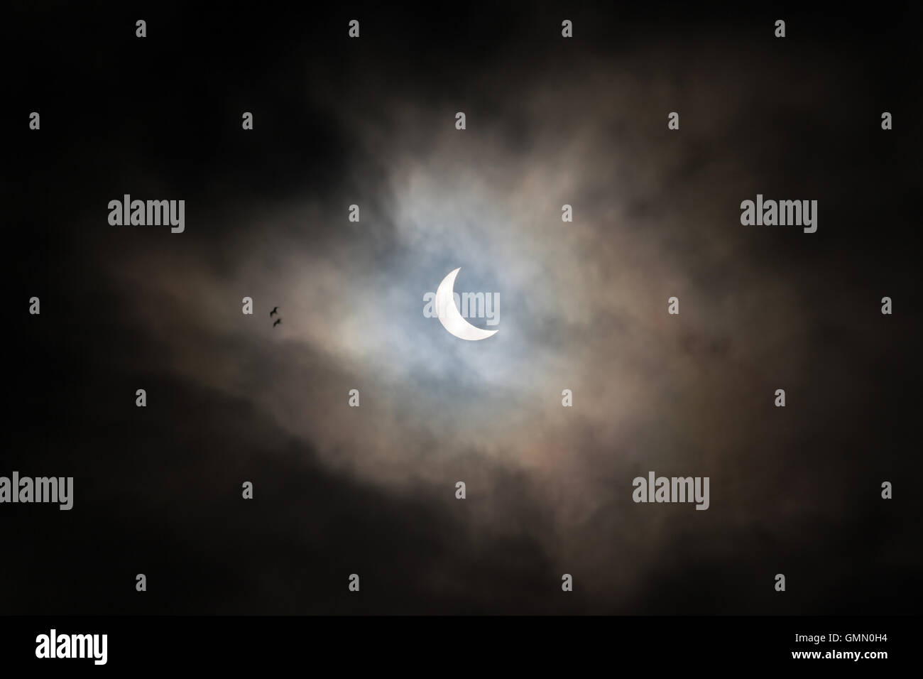Eclipse with birds Stock Photo - Alamy