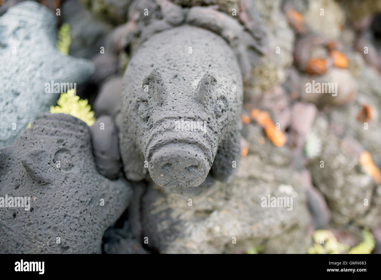 Pig stone hi-res stock photography and images - Alamy
