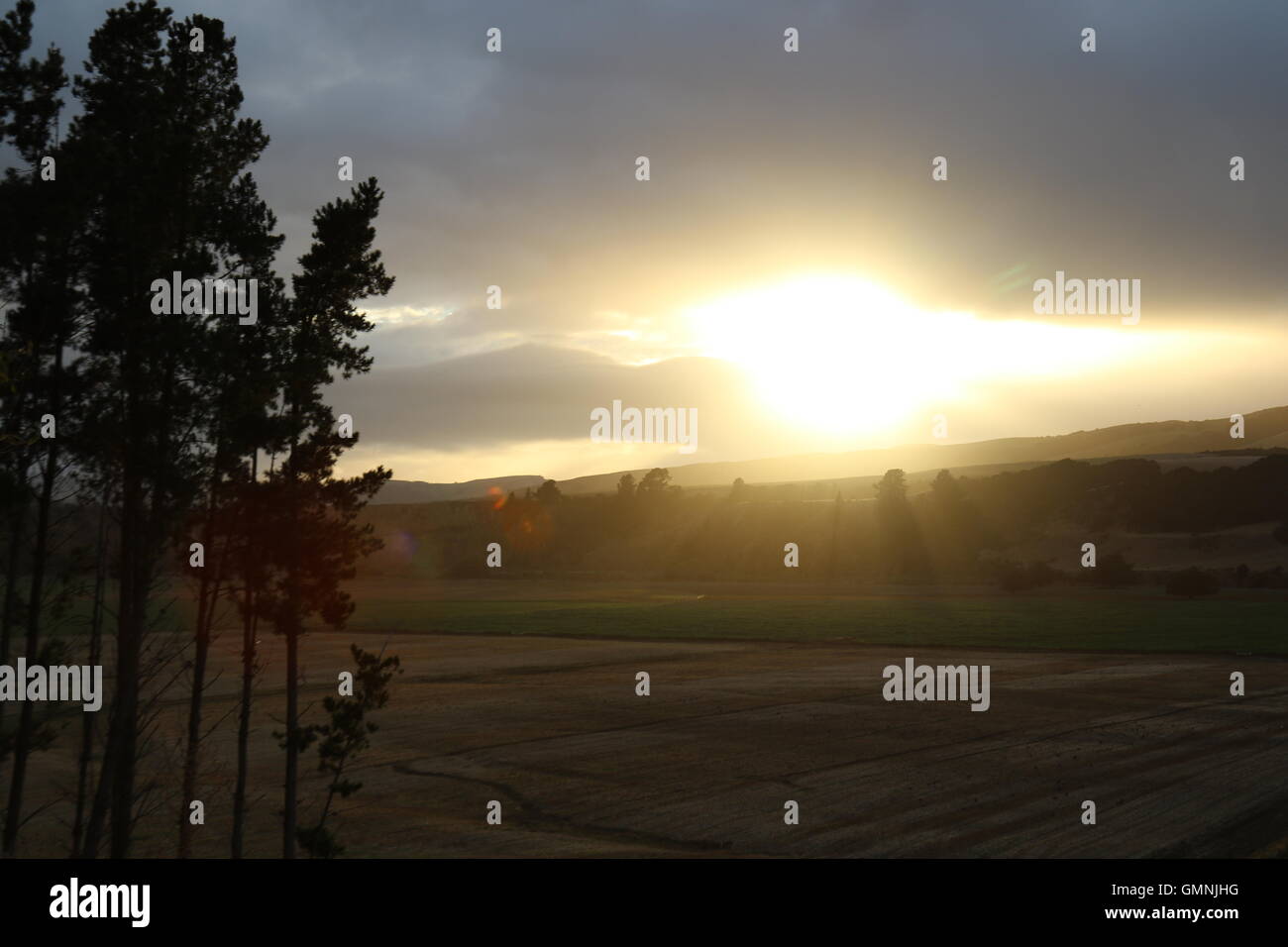 Sunrise at Escarpment Vineyard, Martinborough, New Zealand Stock Photo ...