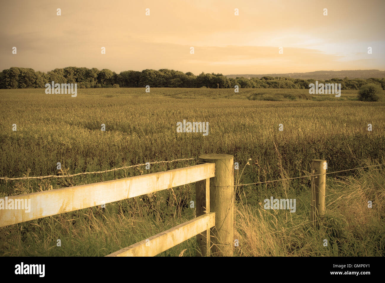 Farmers field, gate and fence landscape photographed in the evening ...