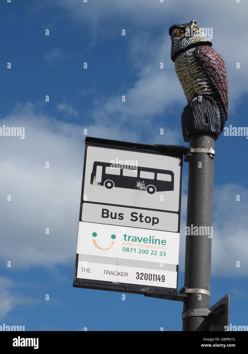 Blue bird bus hi-res stock photography and images - Alamy
