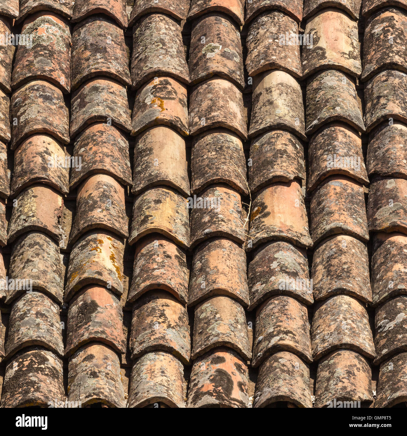 detail of an ancient Italian roof Stock Photo - Alamy