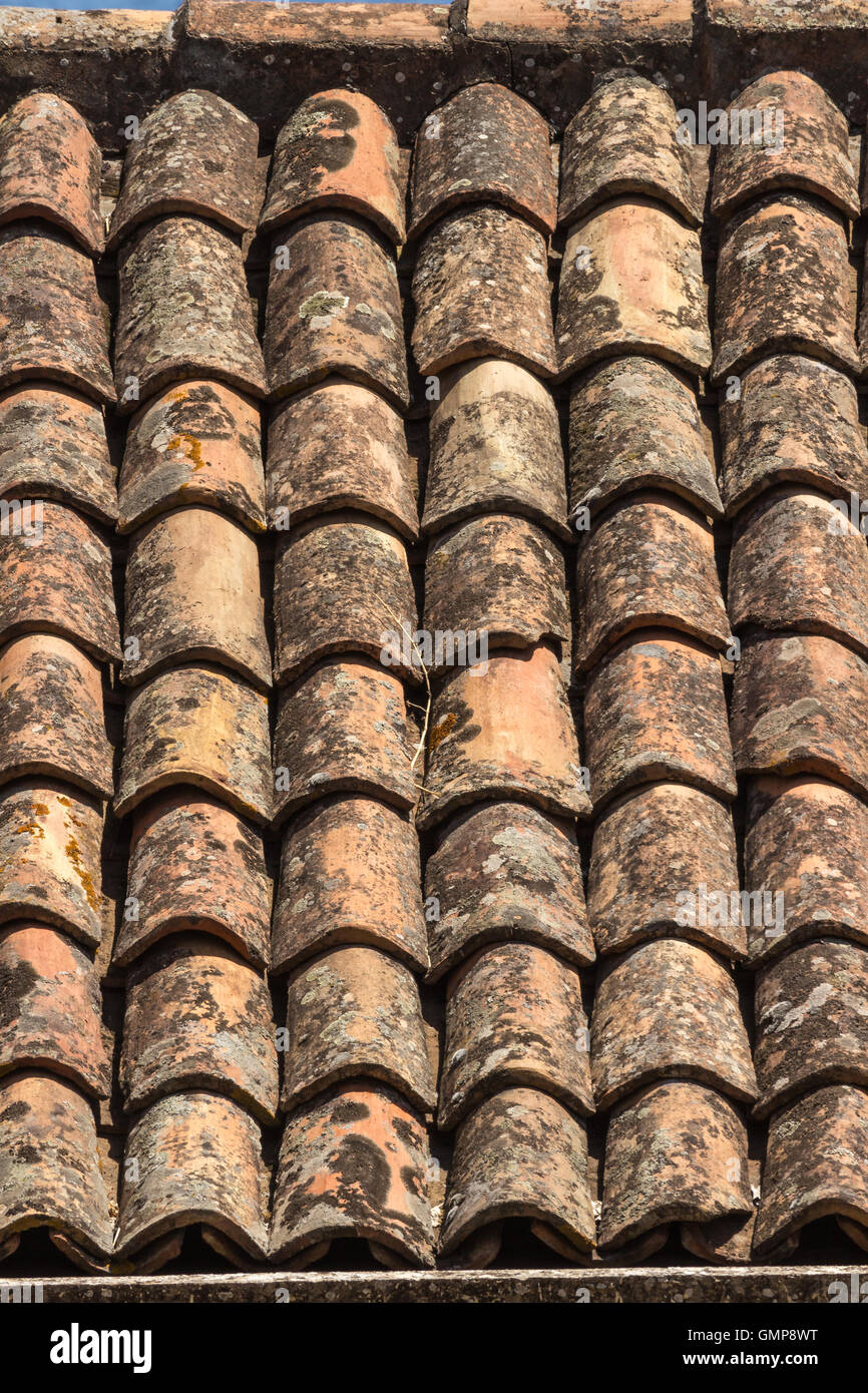 detail of an ancient Italian roof Stock Photo - Alamy