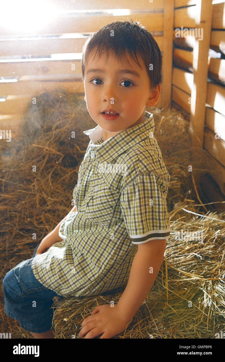 Boy on Hayloft Stock Photo - Alamy