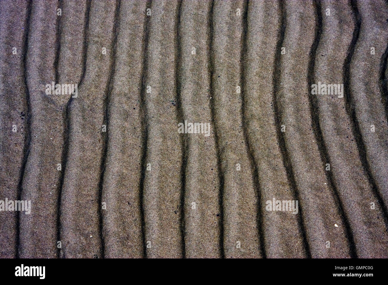 shore texture in rio de la plata Stock Photo - Alamy