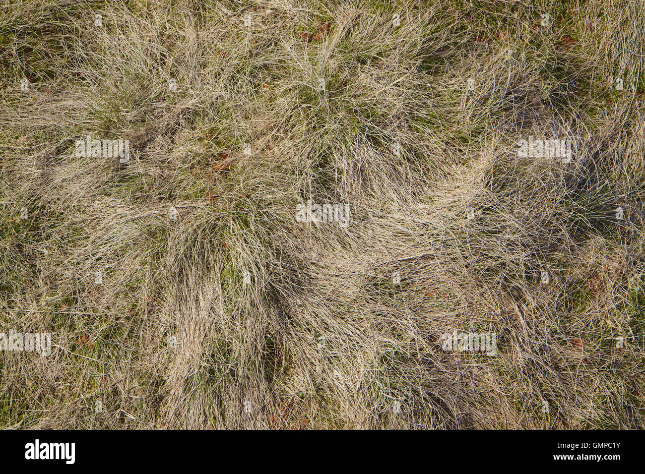 Turf grass earth hi-res stock photography and images - Alamy