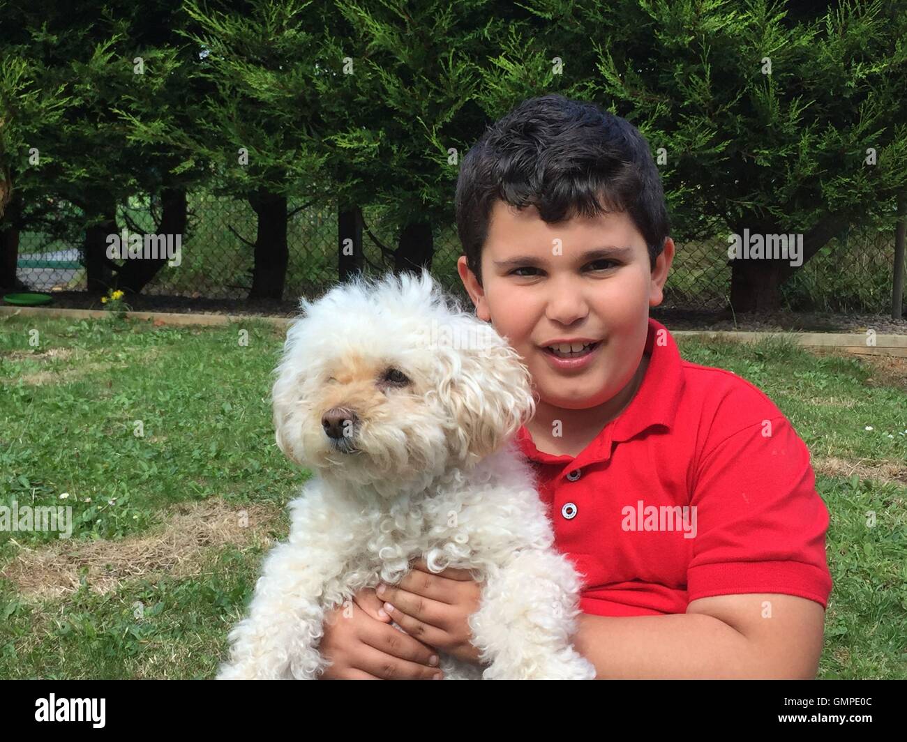 Sarabi dog hi-res stock photography and images - Alamy