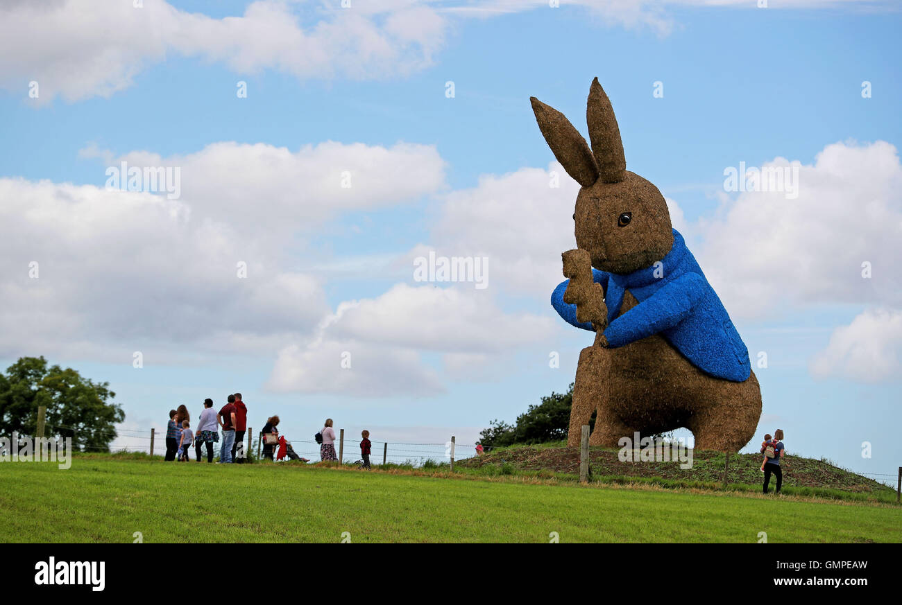Peter rabbit character High Resolution Stock Photography and Images - Alamy