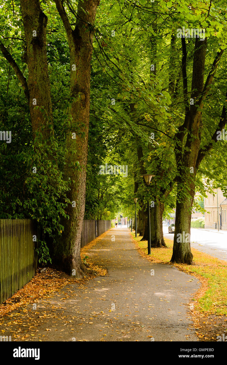 Straight and narrow alleyway for pedestrians and bikes. Man running in ...