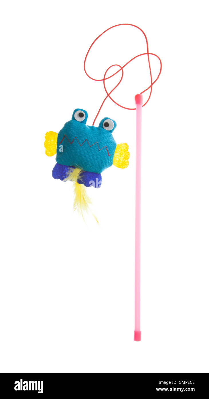 Feather string cat toy hi-res stock photography and images - Alamy