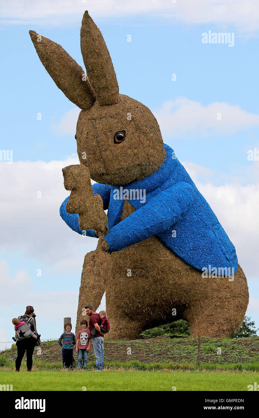 Peter rabbit character High Resolution Stock Photography and Images - Alamy