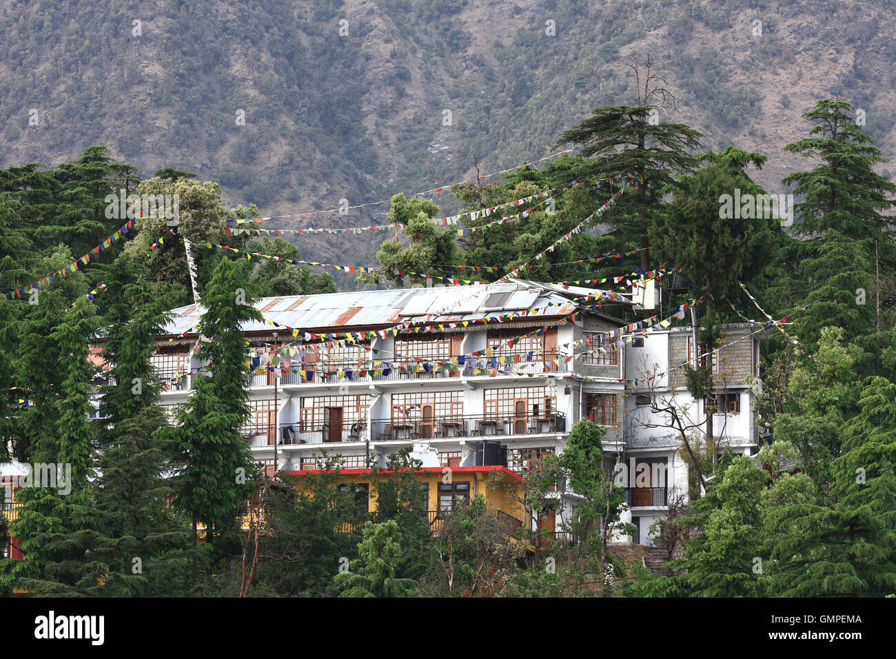 Mcleod Ganj, Dharamsala, Himachal Pradesh, India Stock Photo - Alamy