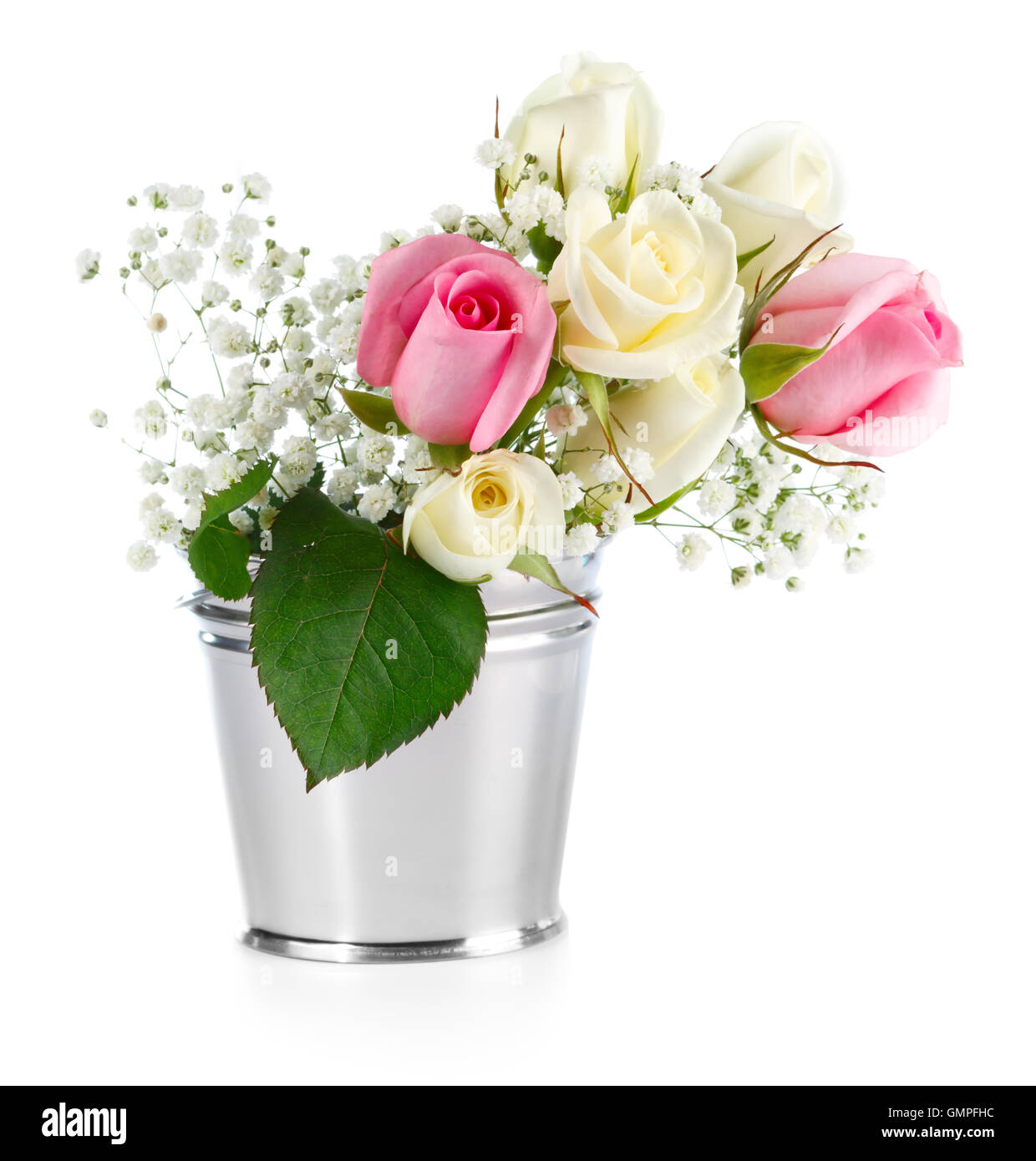 Beautiful Roses in metallic bucket isolated on white background Stock ...