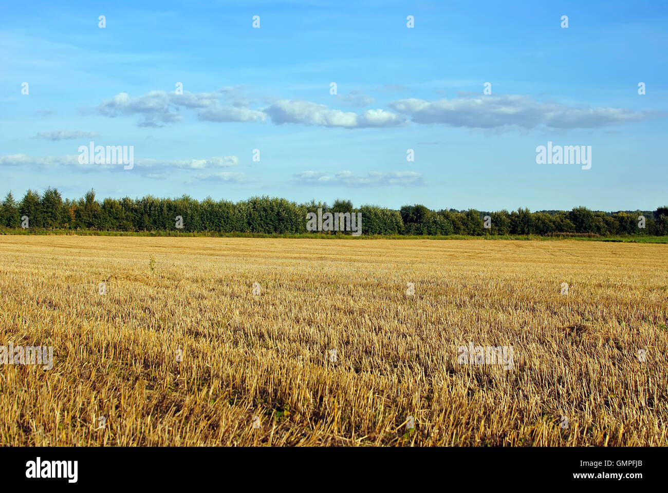 Empty field in rural areas hi-res stock photography and images - Alamy