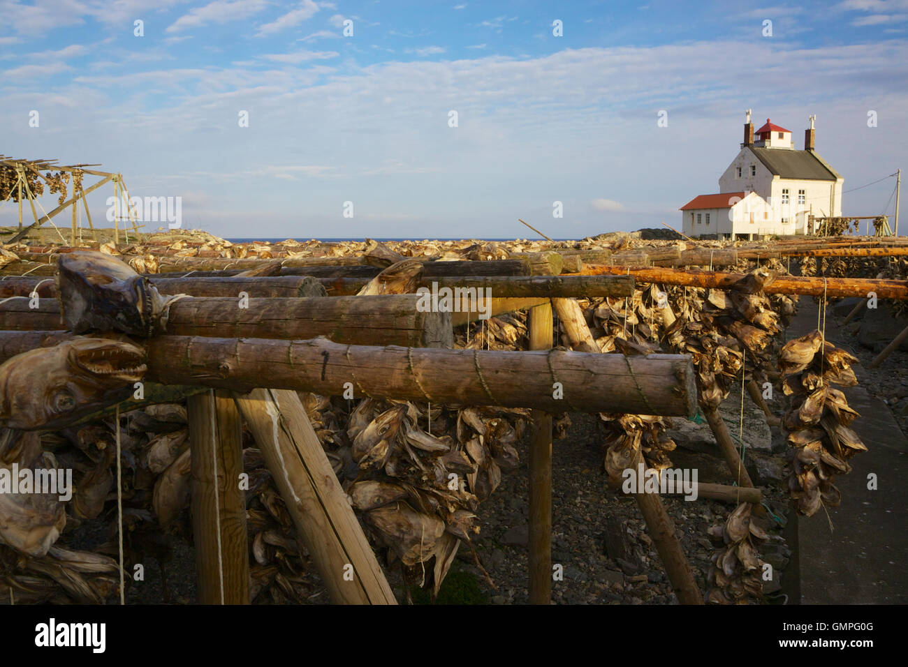 Stock fish by lighthouse Stock Photo - Alamy