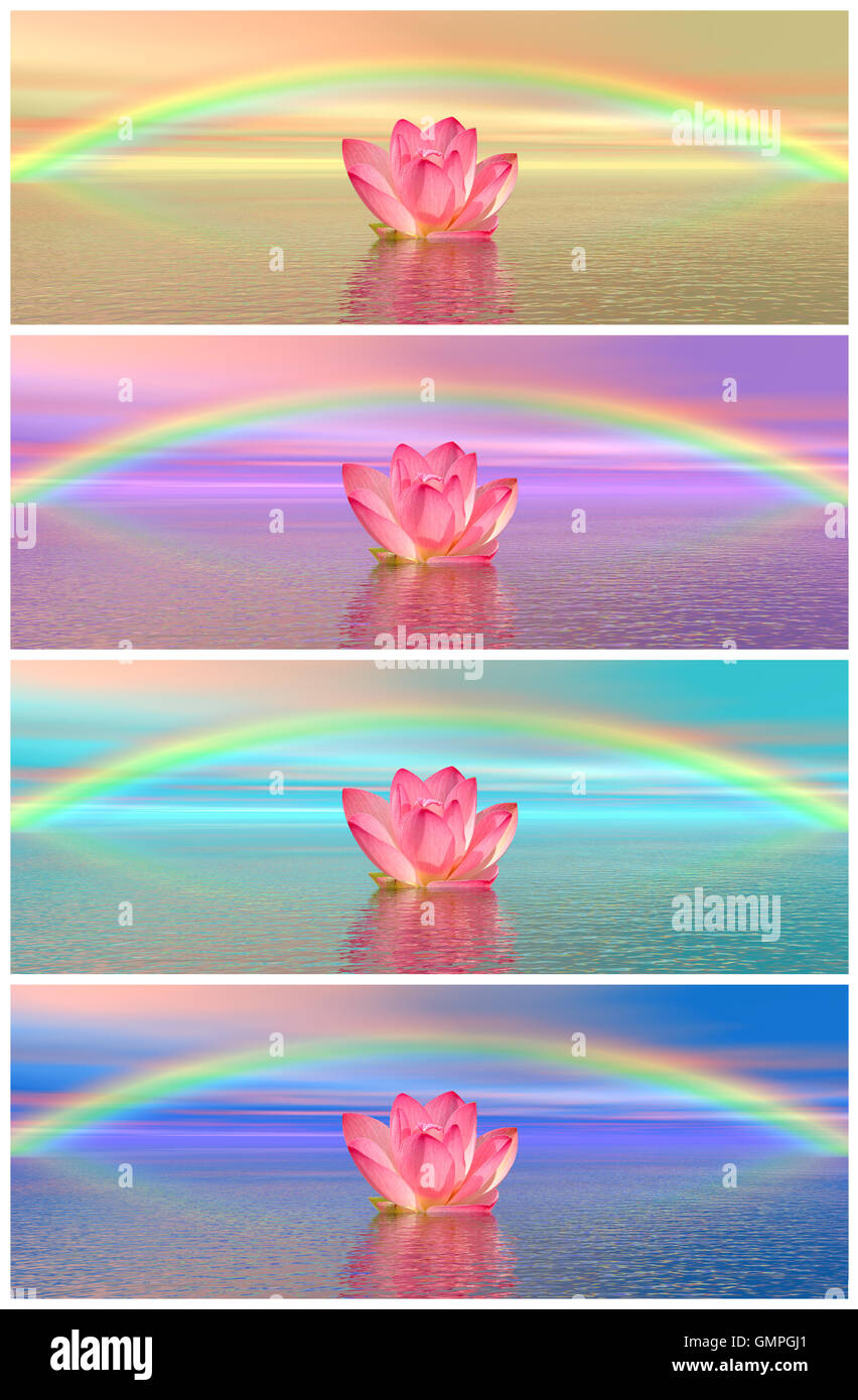 Lily flowers under rainbow Stock Photo - Alamy