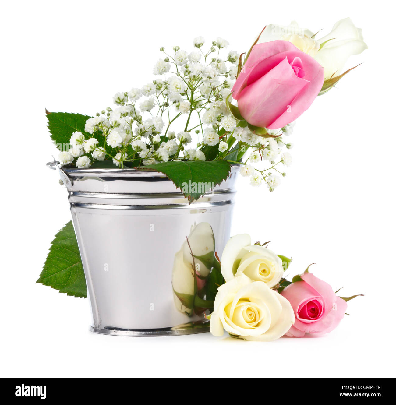 Beautiful Roses in metallic bucket isolated on white background Stock ...