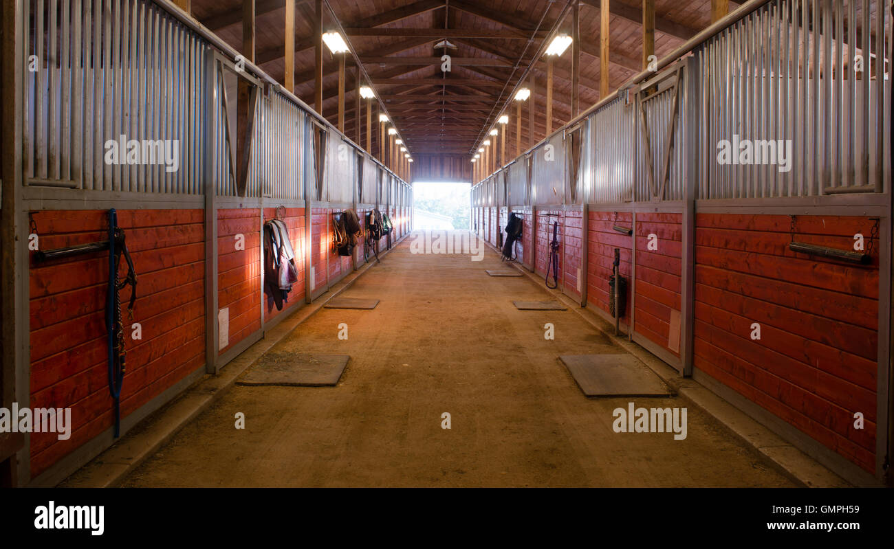 Center Path Through Horse Paddock Equestrian Ranch Stable Stock Photo ...