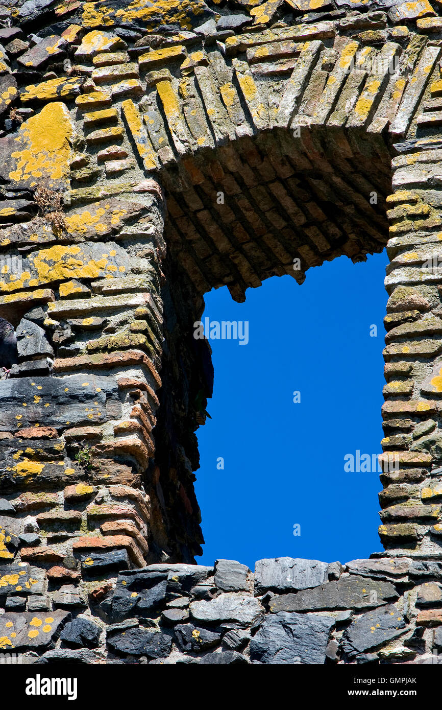 old window and bush Stock Photo - Alamy