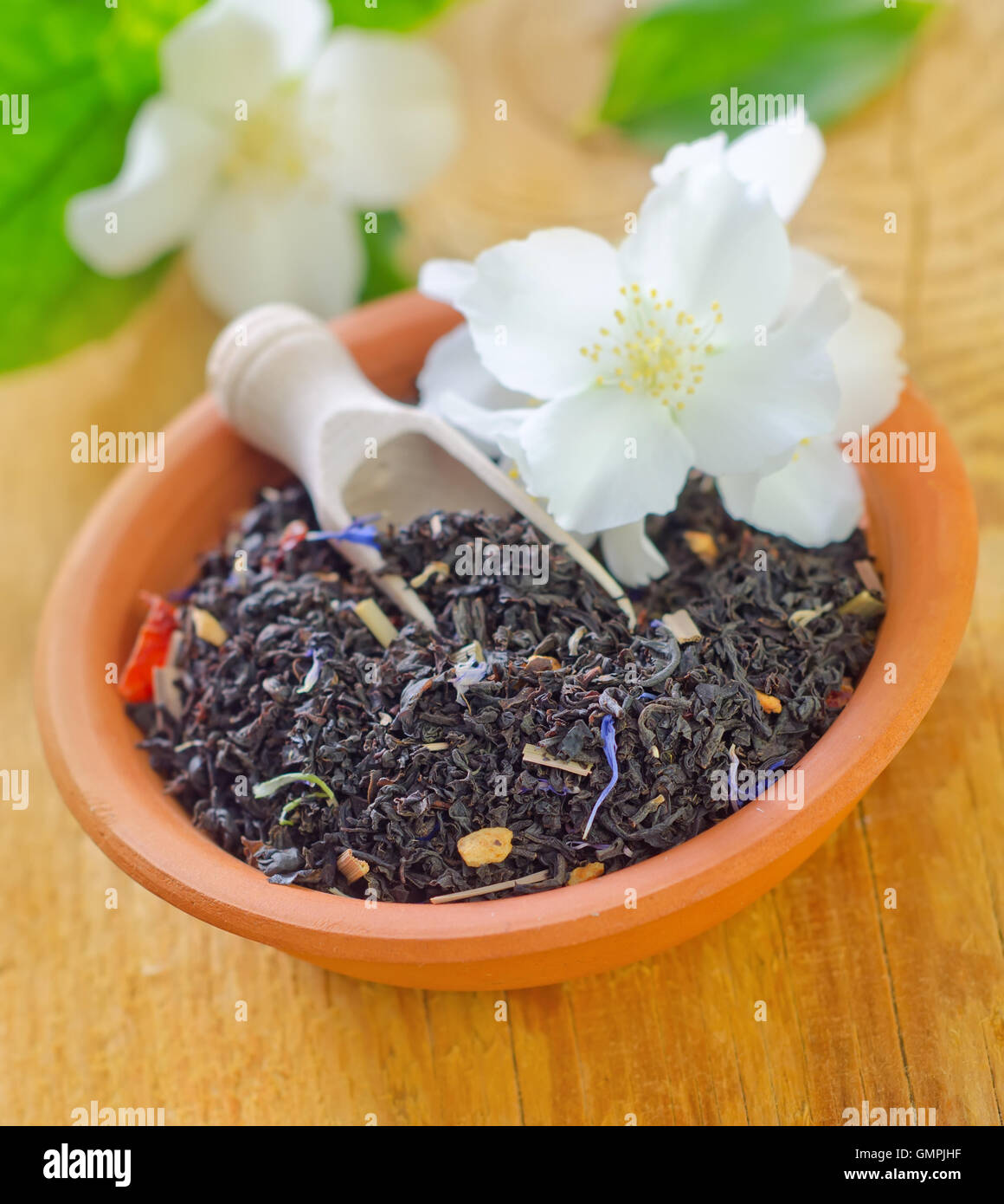Jasmin brown hi-res stock photography and images - Alamy