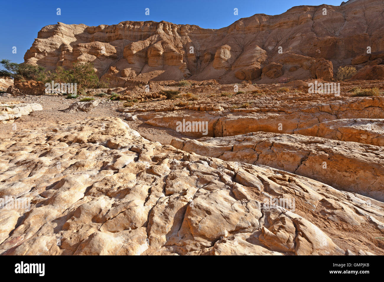 Desert in Spring Stock Photo - Alamy