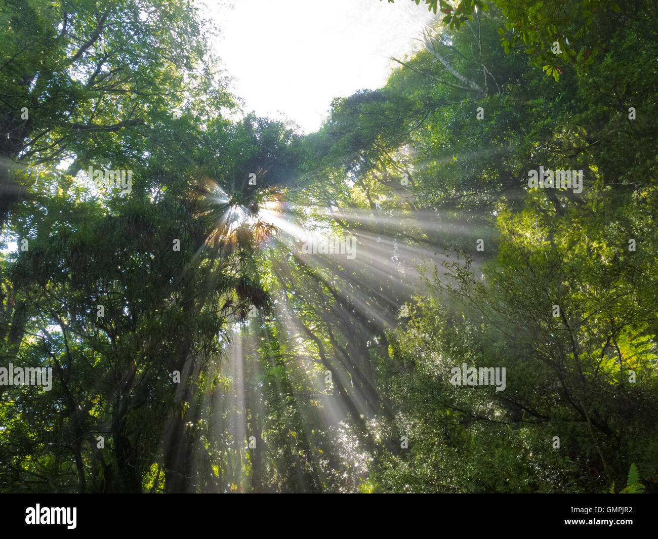 Trough beam hi-res stock photography and images - Alamy