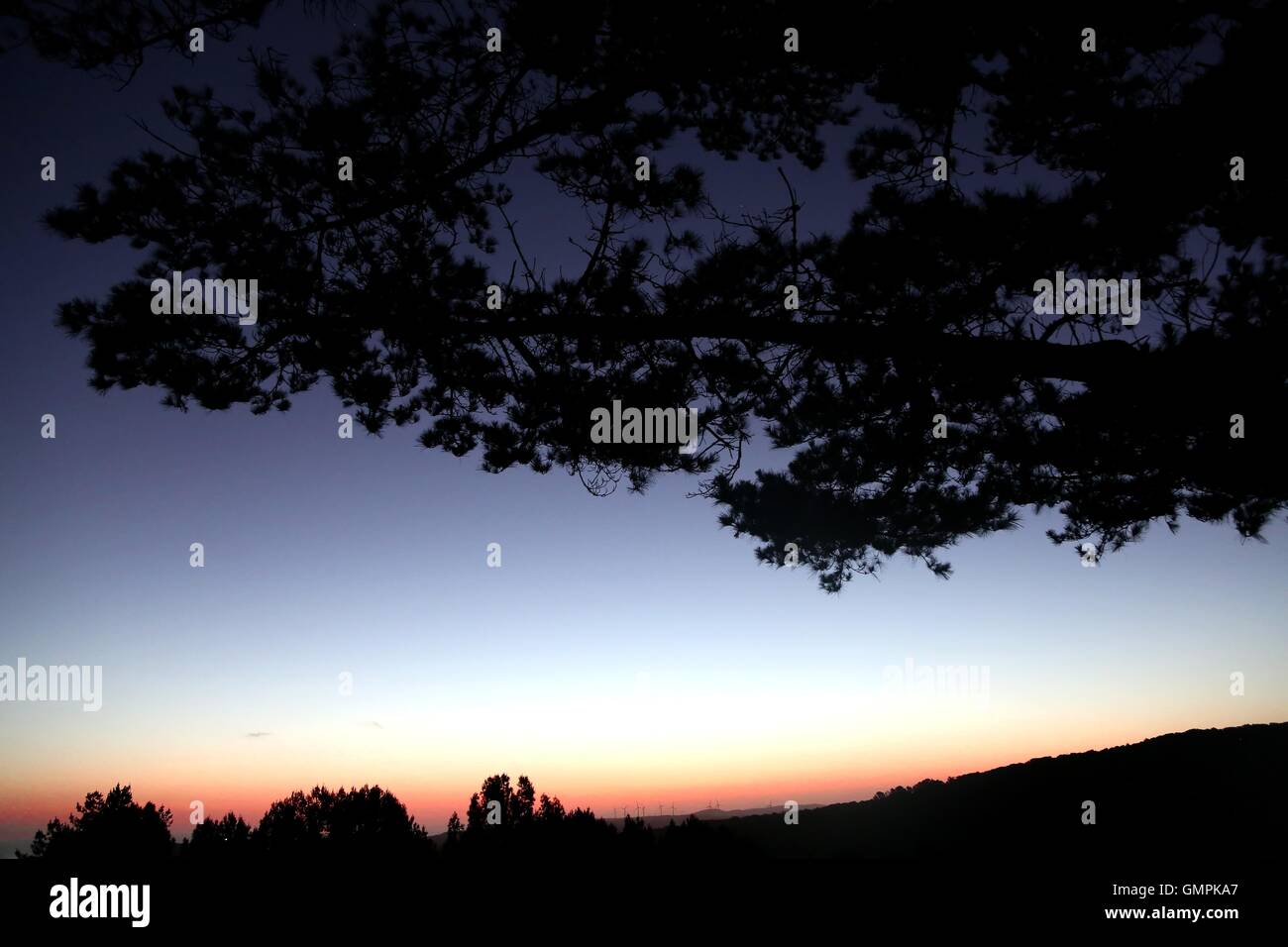 Sunset Silhouette Tree Stock Photo - Alamy