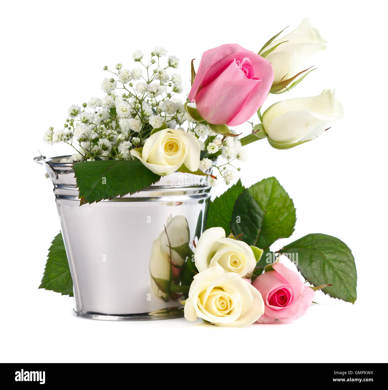 Beautiful Roses in metallic bucket isolated on white background Stock ...