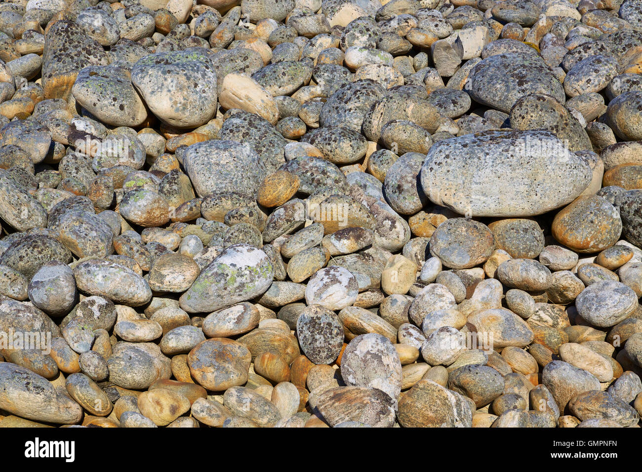Beach shingle pebbles background hi-res stock photography and images - Alamy