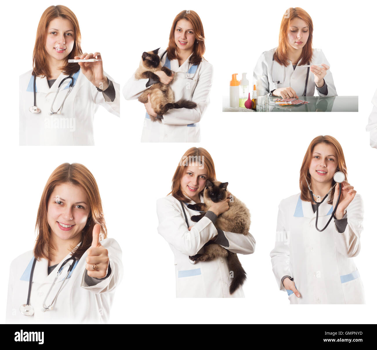 Doctor animals Cut Out Stock Images & Pictures - Alamy