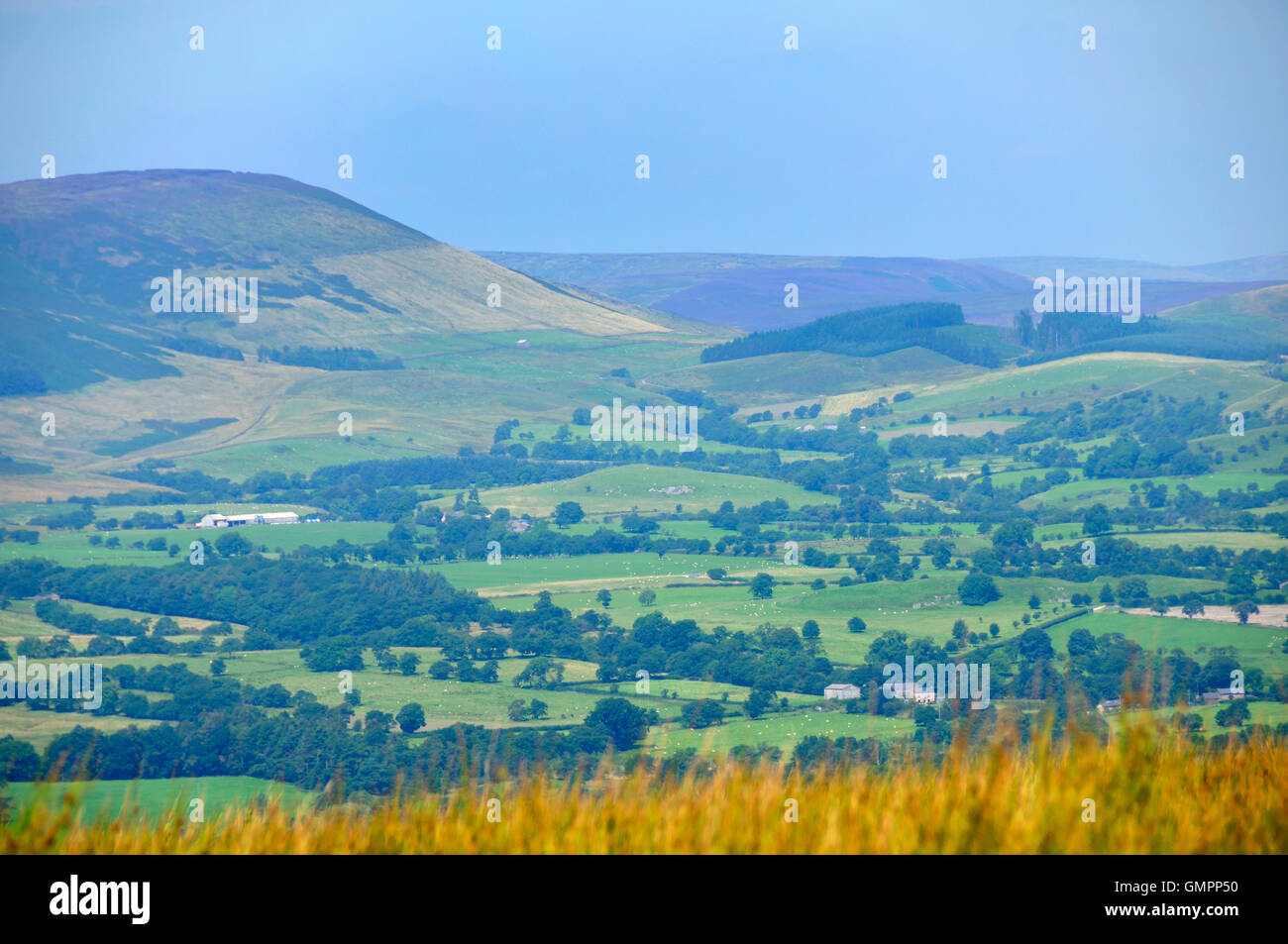 view of Longridge Fell Stock Photo - Alamy