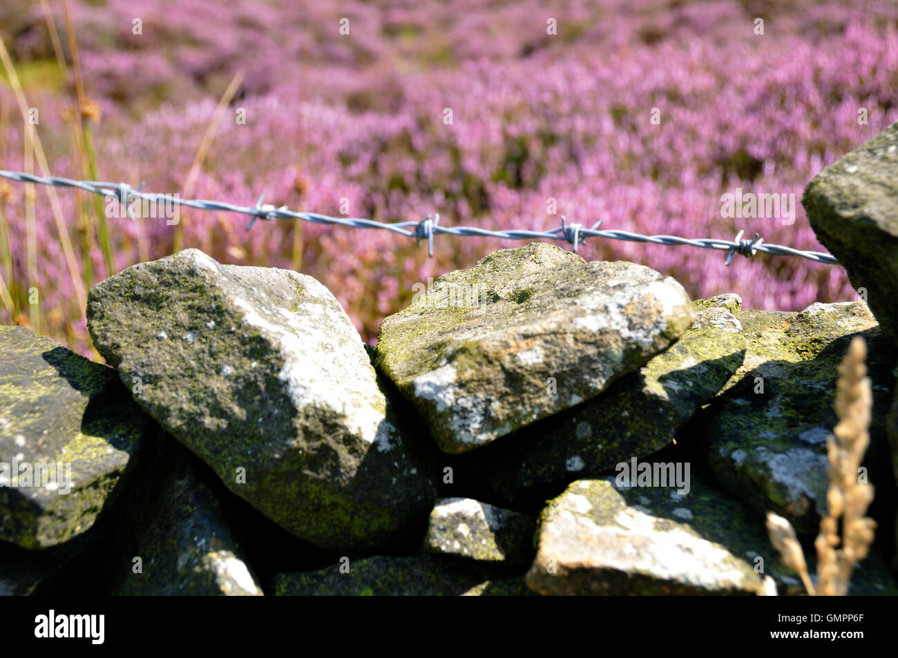 Dry stone wall Stock Photo - Alamy