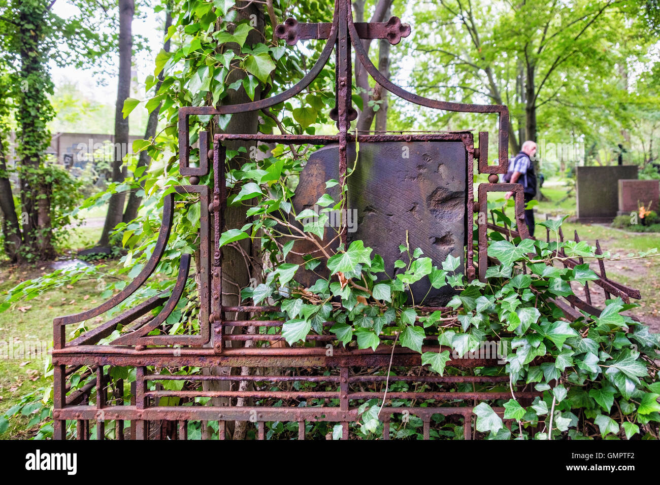 Old grave with rusty iron frame overgrown with creepers, St. Hedwig ...