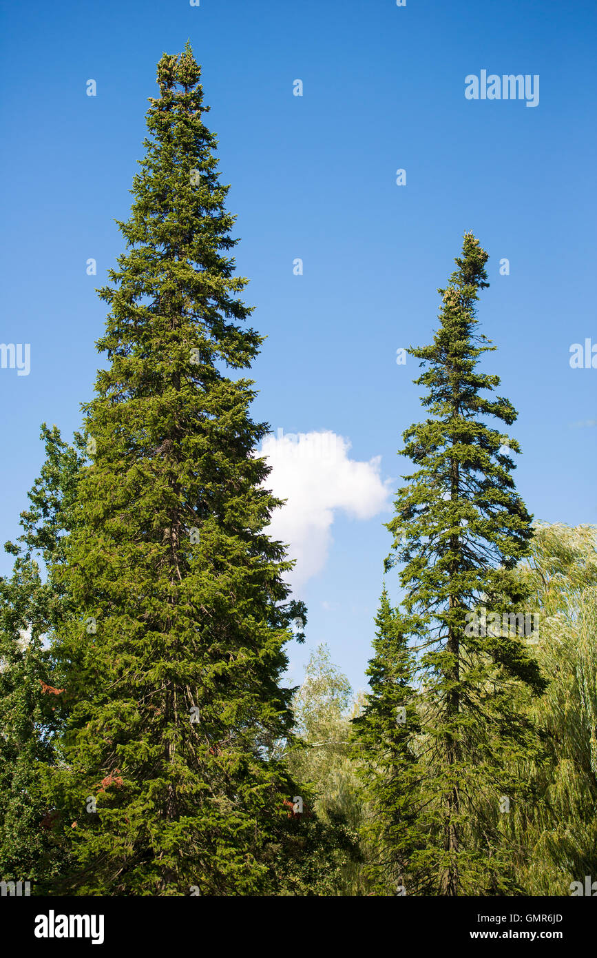 Edge of nature hi-res stock photography and images - Alamy