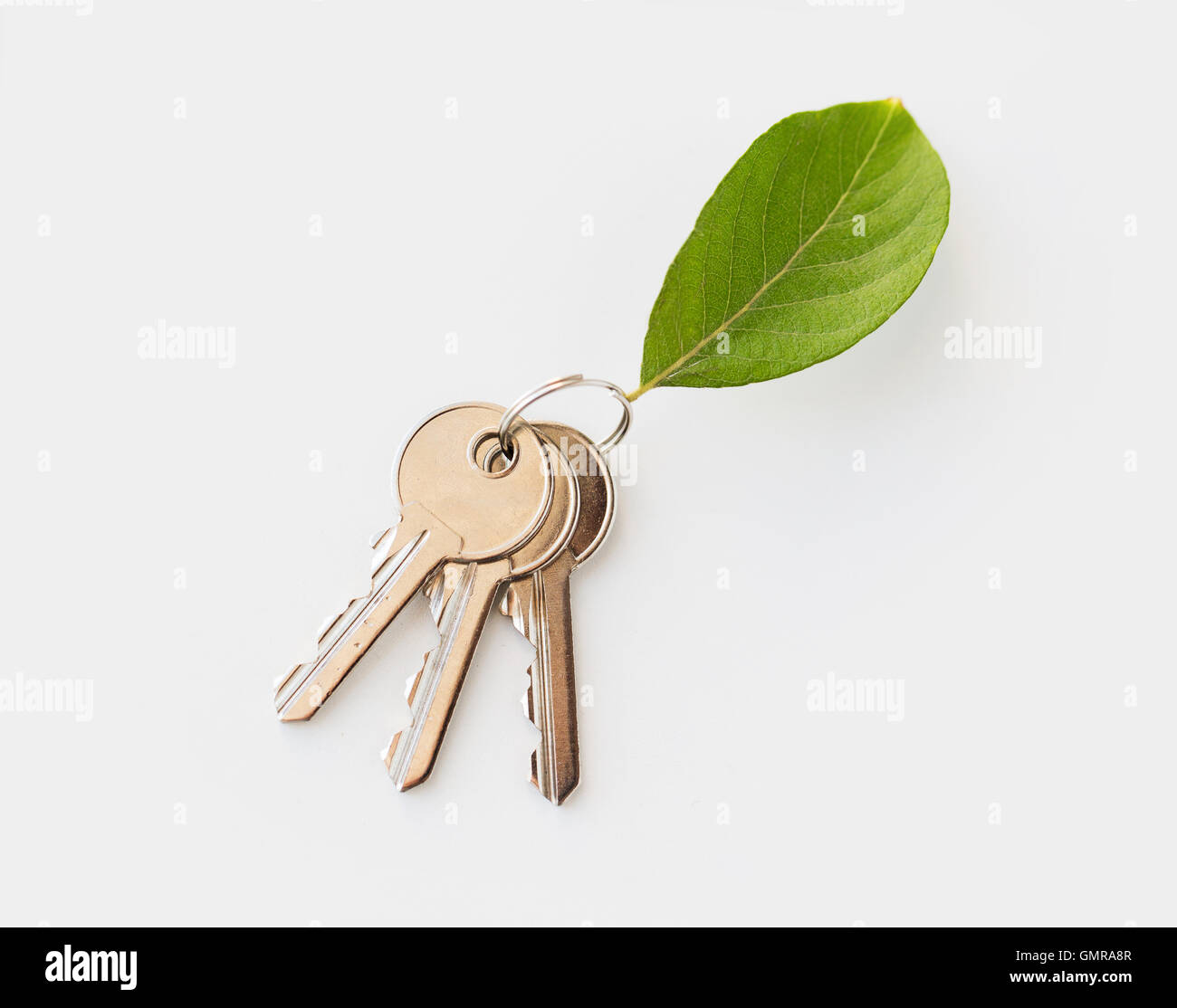 Eco flora estate hi-res stock photography and images - Alamy