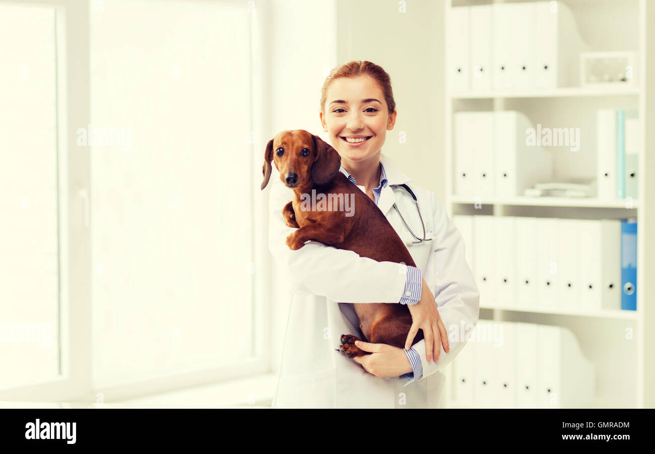 happy doctor with dog at vet clinic Stock Photo - Alamy